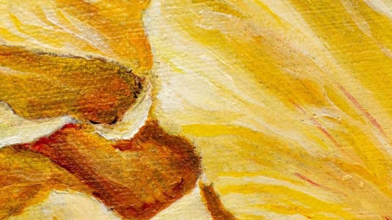 13 Types of Art Canvas: Choose the Perfect Canvas for Your Artwork ...