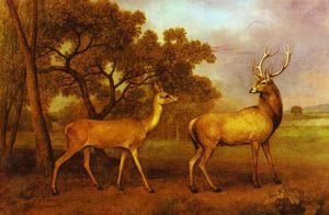 10 Famous Deer Paintings That Capture Nature's Elegance - EHarrisGallery